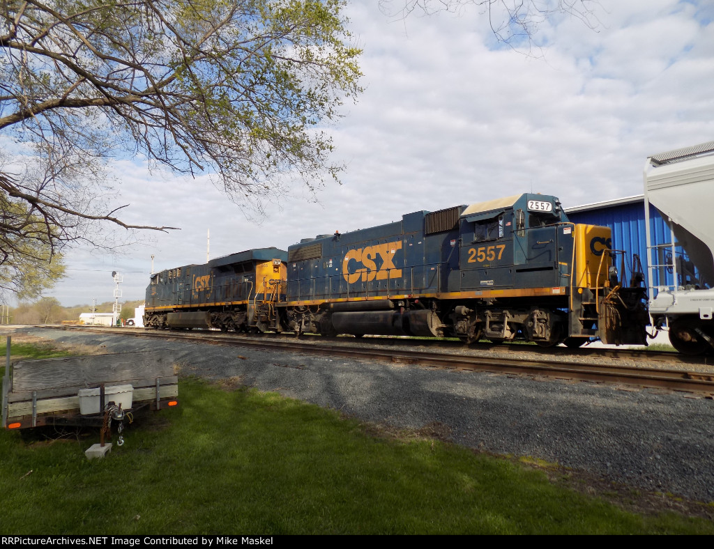 CSX 955